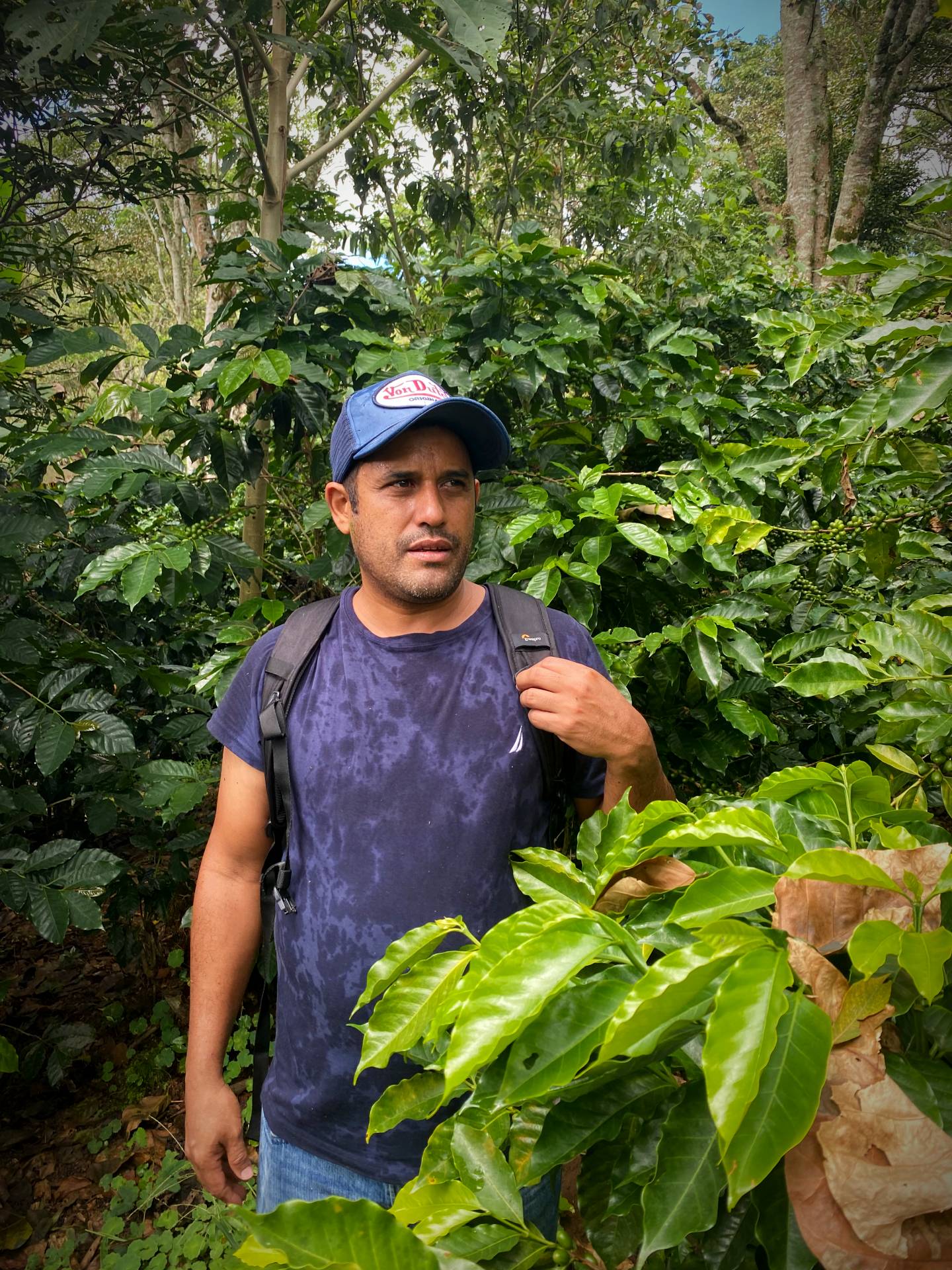 Raquel Giron Rosales Finca Monte Fresco Yoro, Honduras - One BIGG ...