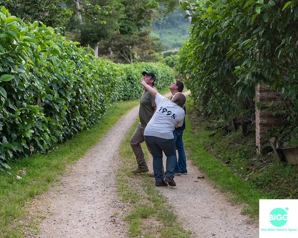 Pascual Castillo and Maria Esther Saut Finca La Fortaleza Chiapas ...