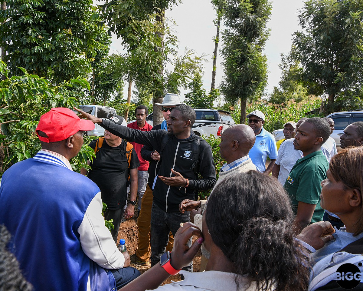 What We're Up To - One BIGG Island in Space